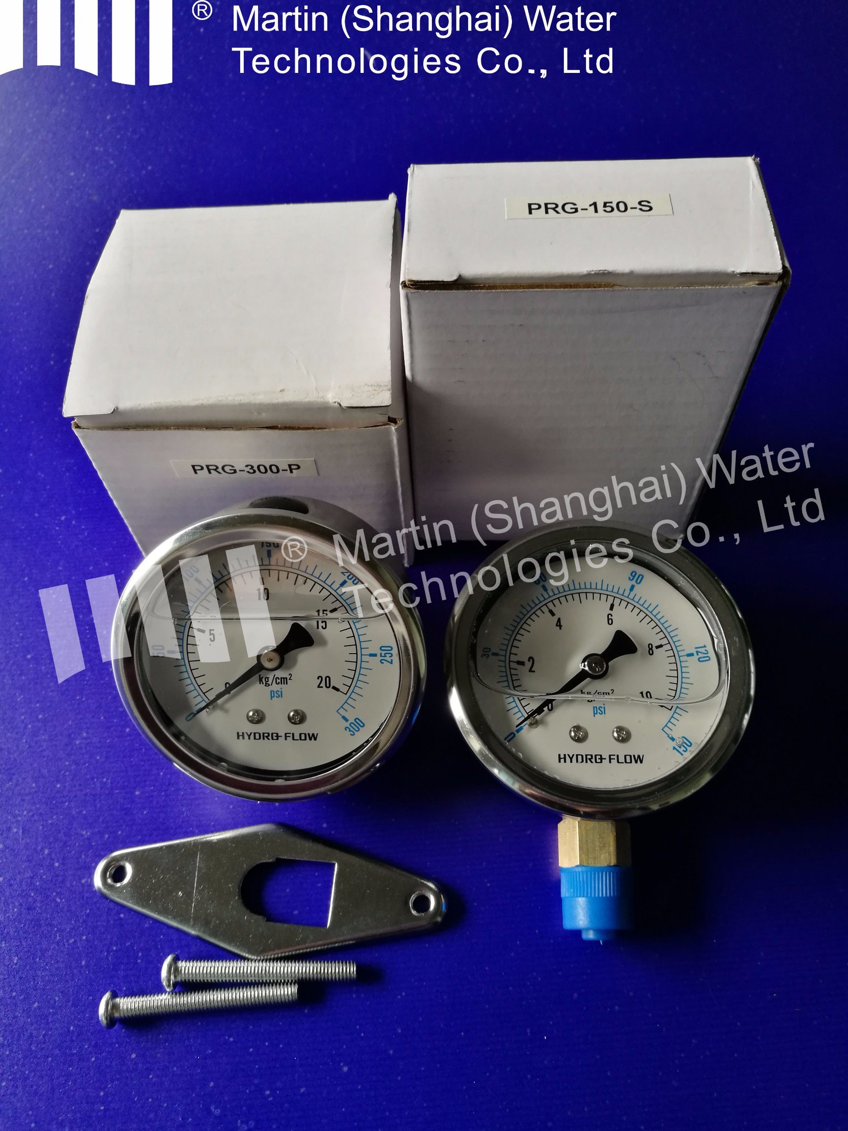 Side Mount and Panel Mount Pressure Gauge